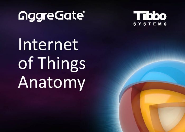 Internet of Things Anatomy | Tibbo AggreGate Blog
